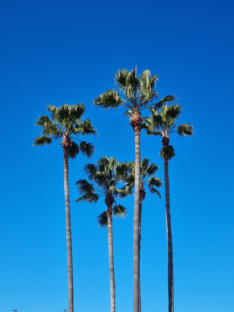 장민수 FAST '22 참석 후기 - KAIST OS Lab